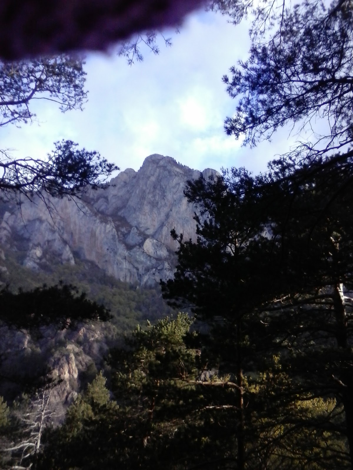 SENDERISME: Gréixer coll de Pendis