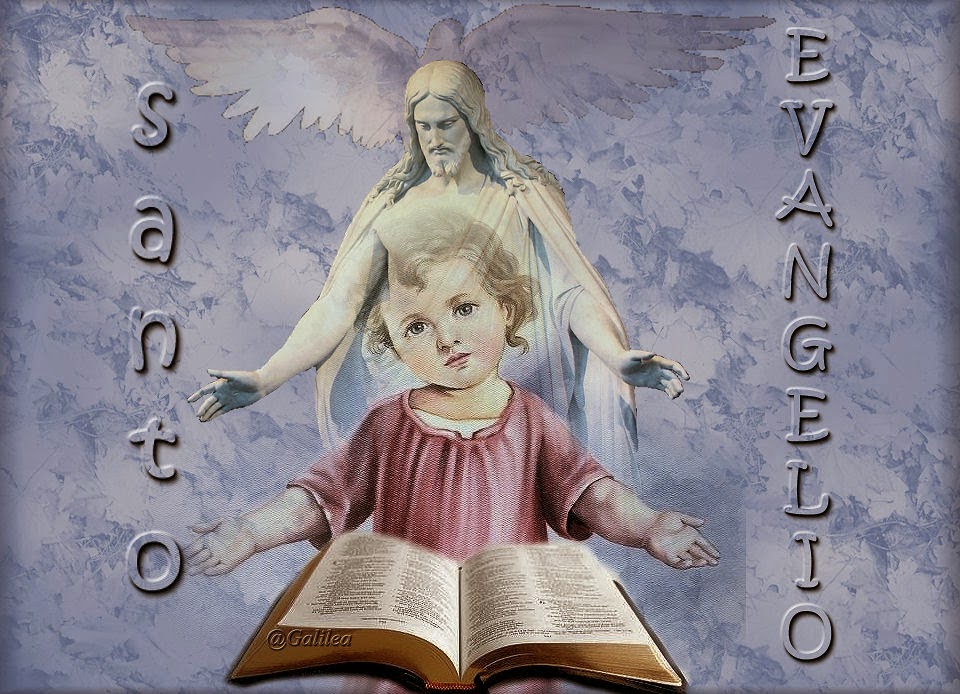 ® Santoral Católico ®: EL EVANGELIO DE HOY: JUEVES 11 DE DICIEMBRE DEL 2014
