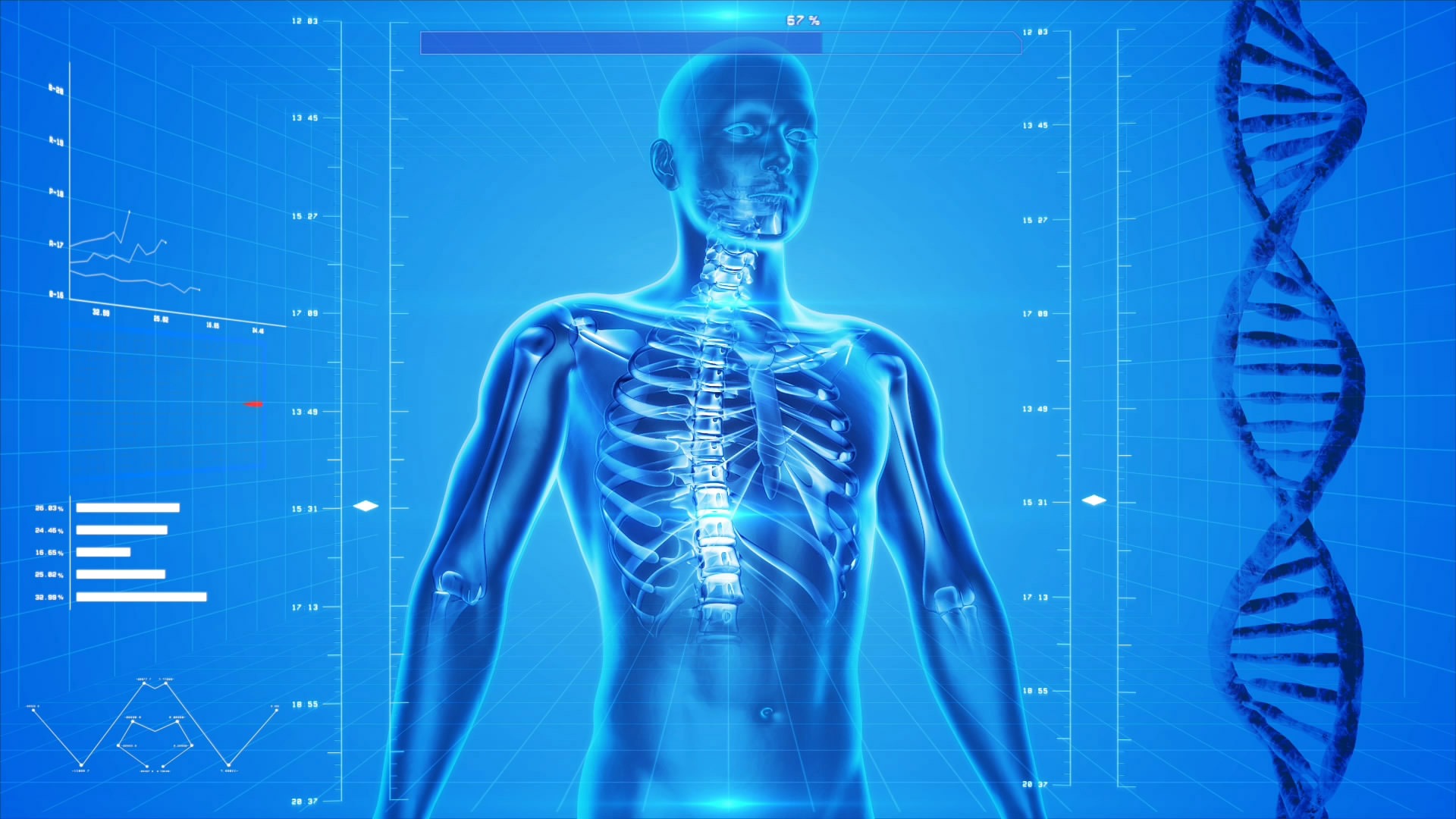 What Is The Longest Bone In The Body What Is The Longest Bone In The Body