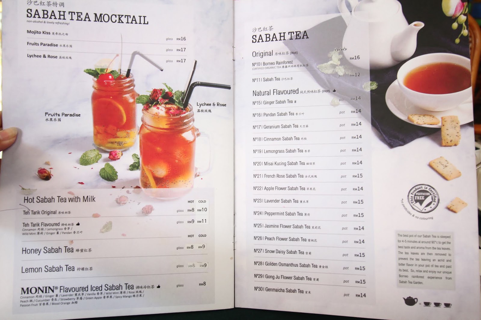 STG Tea House Cafe @ Taman Chateau, Ipoh | felicia.grace