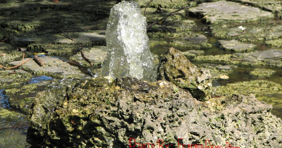 Bonao Internacional: DIJO DIOS A MOISES : SALDRA AGUA DE LA ROCA Y ...