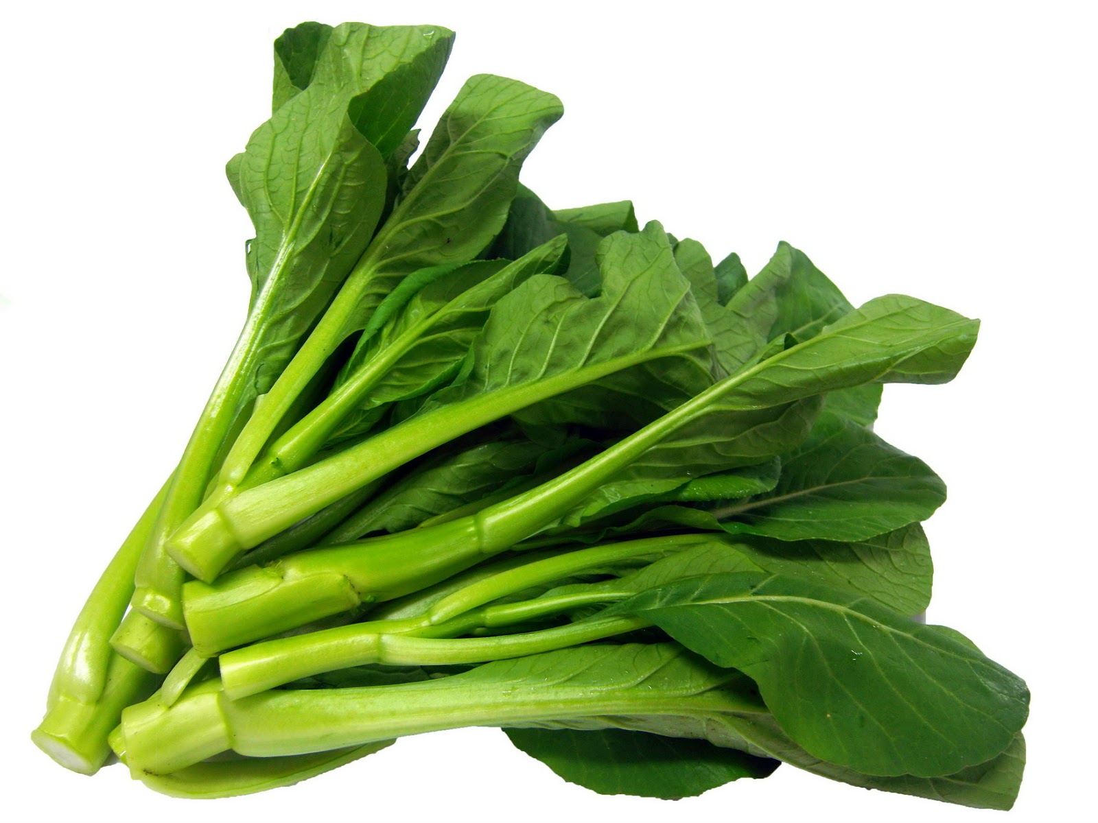 Contoh Tanaman Sayuran Batang - Perumperindo.co.id