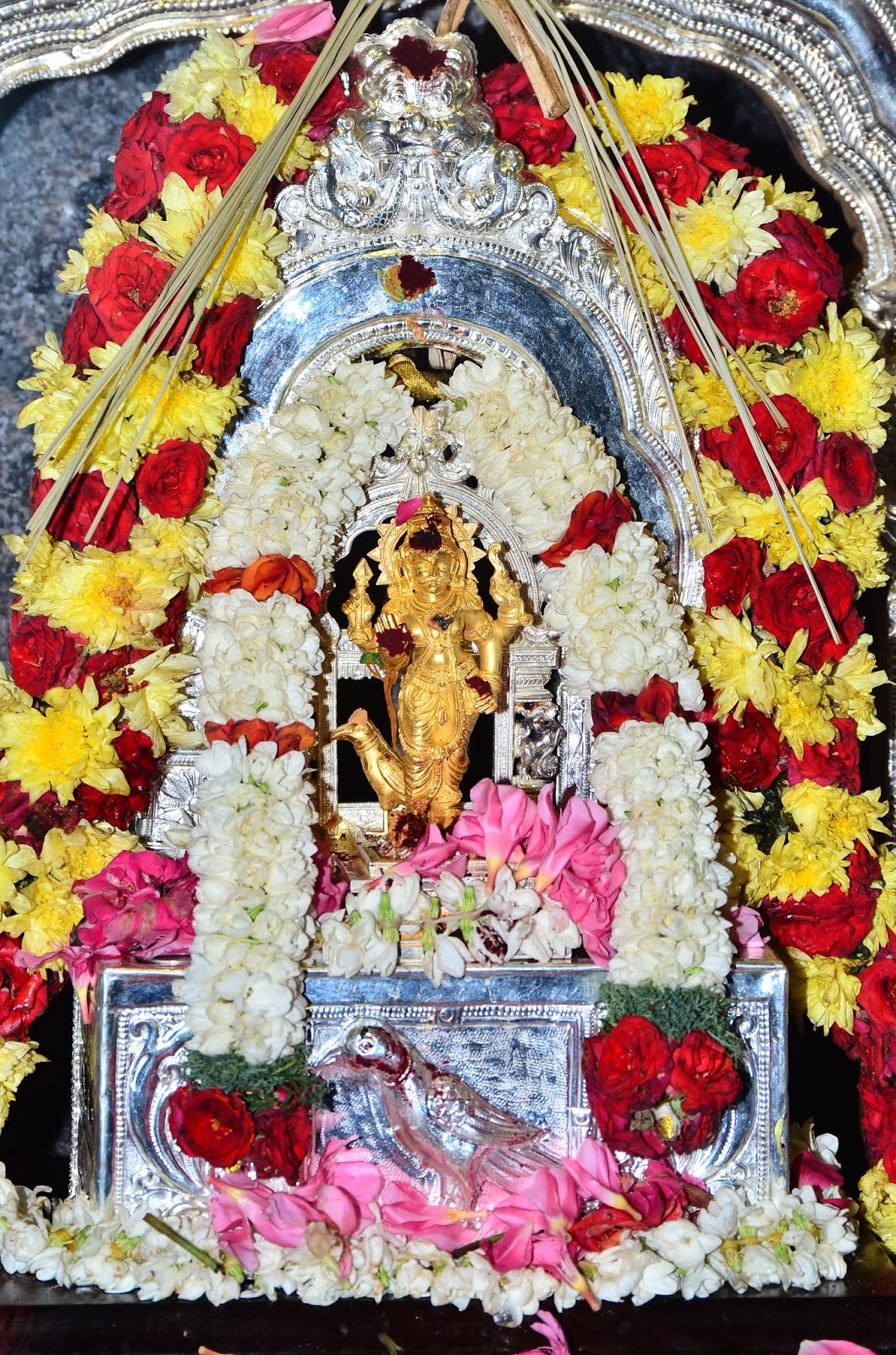 Danvantri Peedam - Universal Peedam