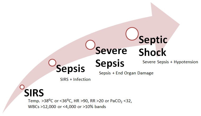 ENFERMERÍA - NURSING: SEPSIS