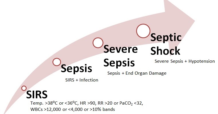 ENFERMERÍA - NURSING: SEPSIS