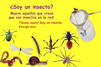 Escuela infantil castillo de Blanca: LOS INSECTOS