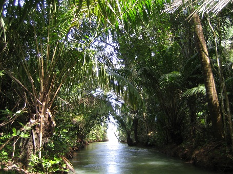 Desert Woman On the Road: Panamanian Jungle