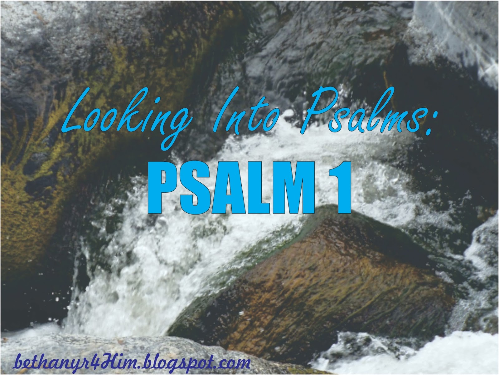 A Great God and Good Cocoa: Looking Into Psalms: Psalm 1
