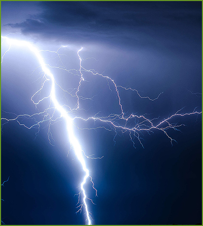 stillpoint: a tree worth hugging...