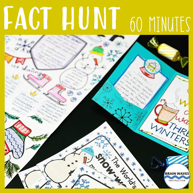 Brain Waves Instruction: Day Before Winter Break ELA Plans