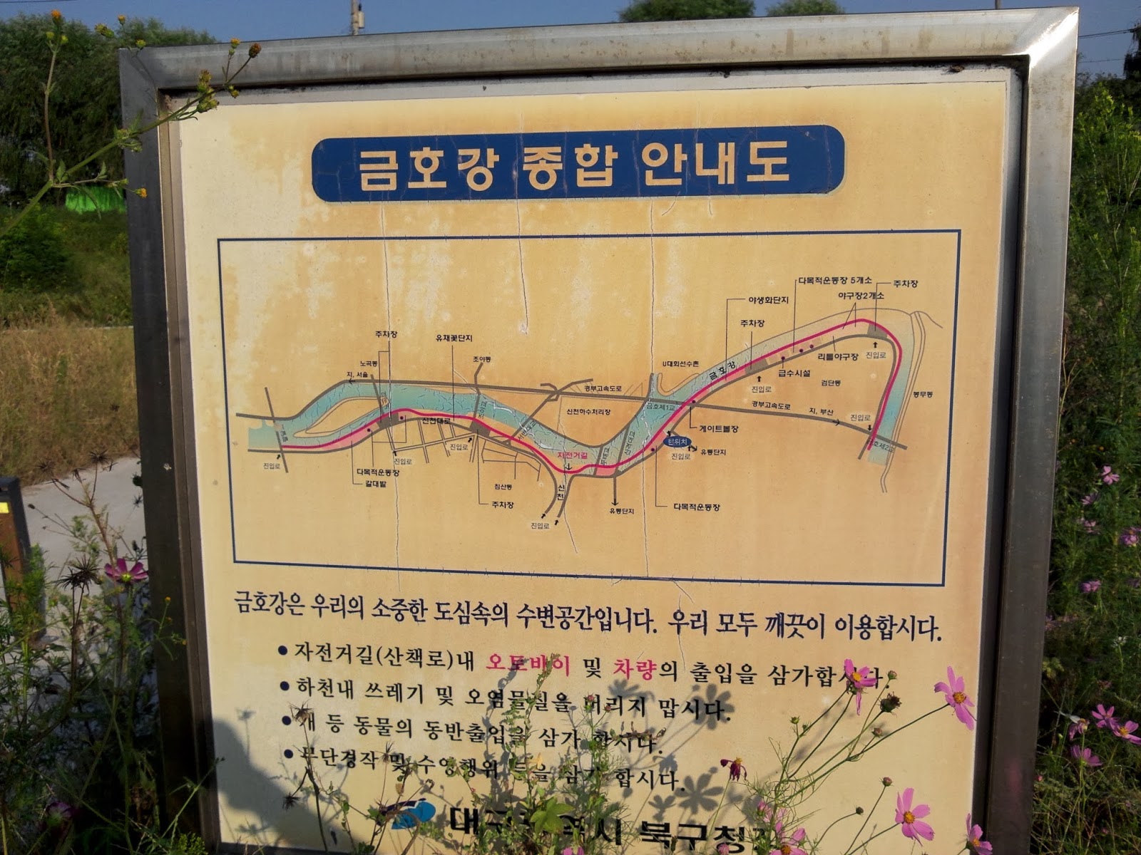 Daegu!: Chuseok River Biking