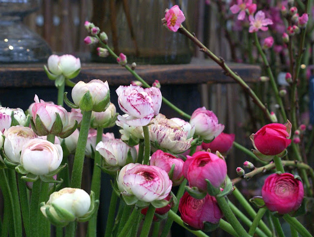 Tankevågor: Ulriksdals Slottsträdgård