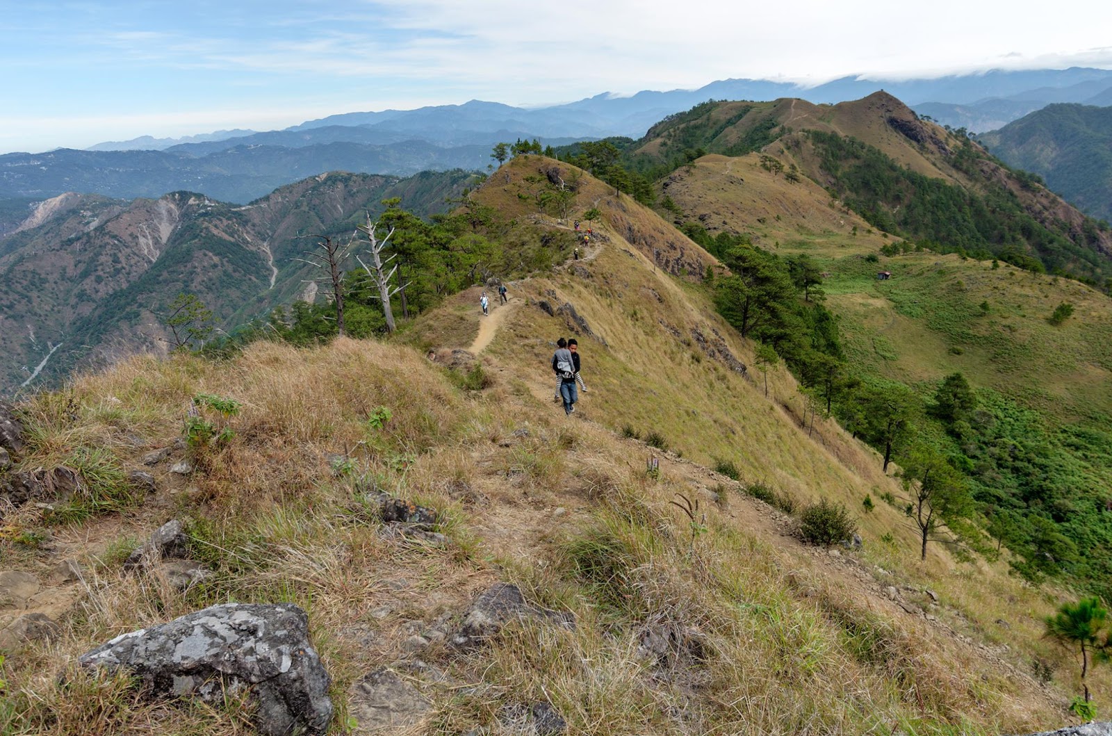 A Guide to Mount Ulap Cloud Mountain Ampucao Itogon Benguet | AvianQuests