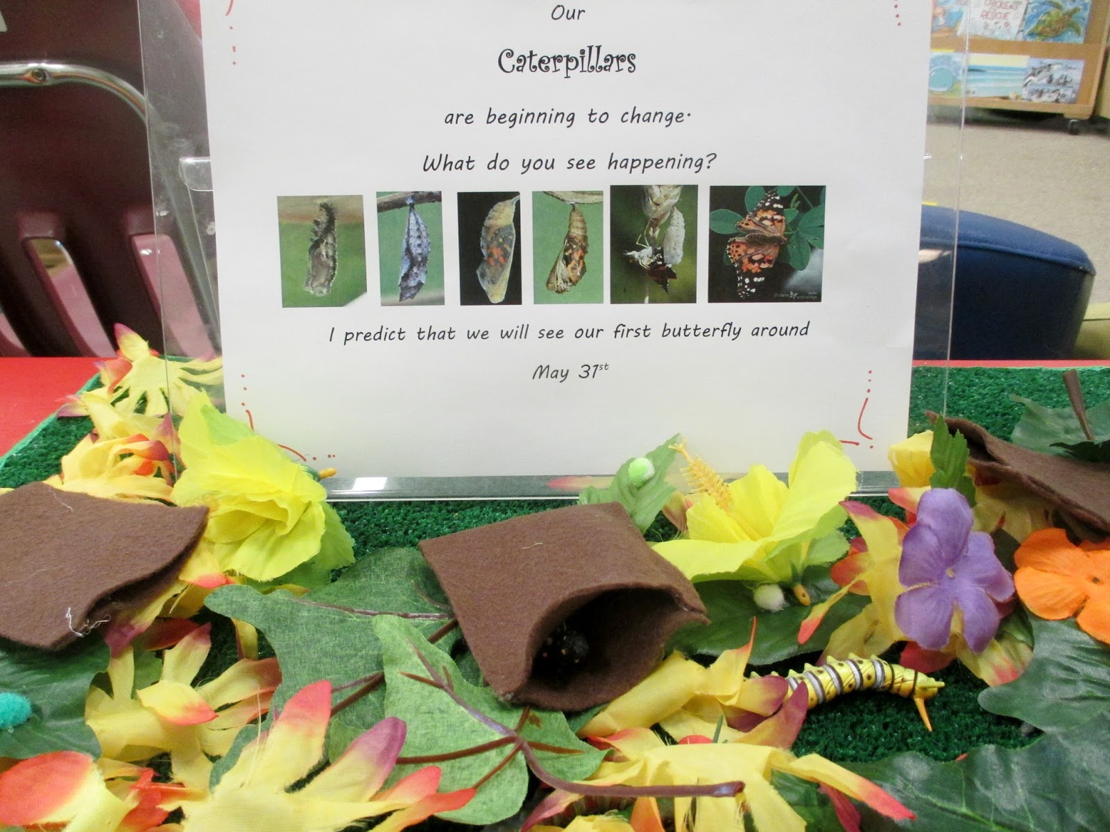 StrongStart: Chrysalis