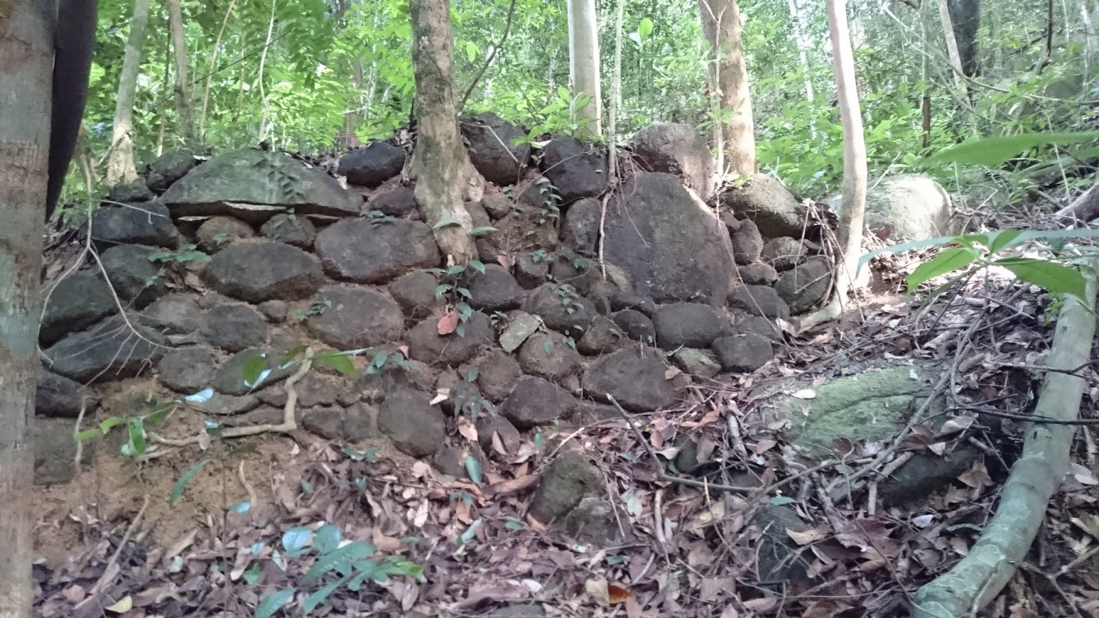 Mendaki Bukit Tokun dari empangan lama. | Dunia ku Imaginasi mu