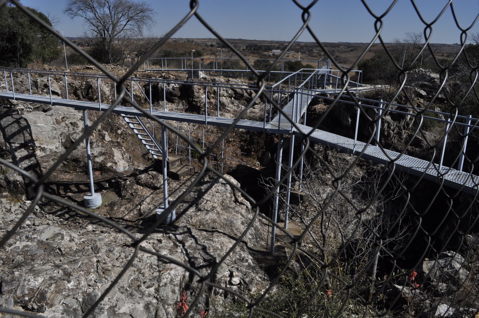 A South-African journey: The Cradle of Humankind