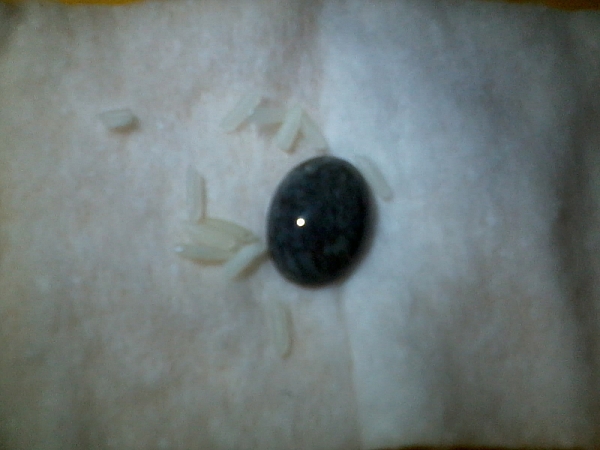 BaTu Anugerah AlaM: Geliga