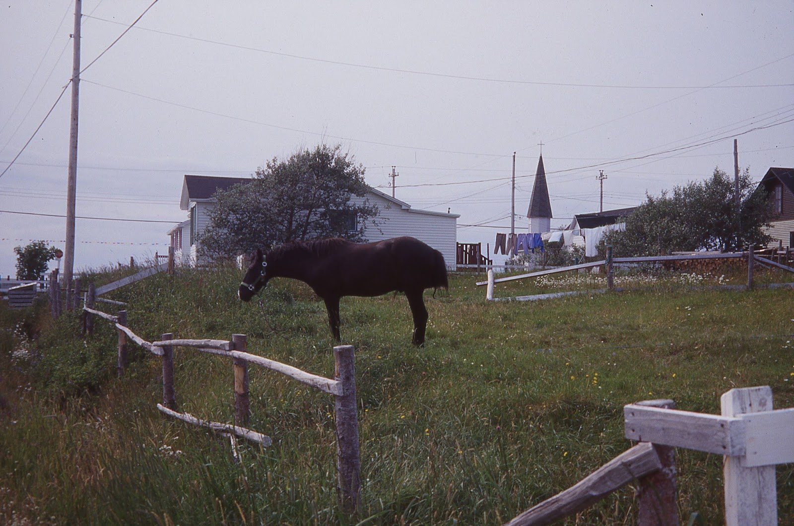 ICH Blog: #CollectiveMemories Monday - Memories of Cavendish with ...