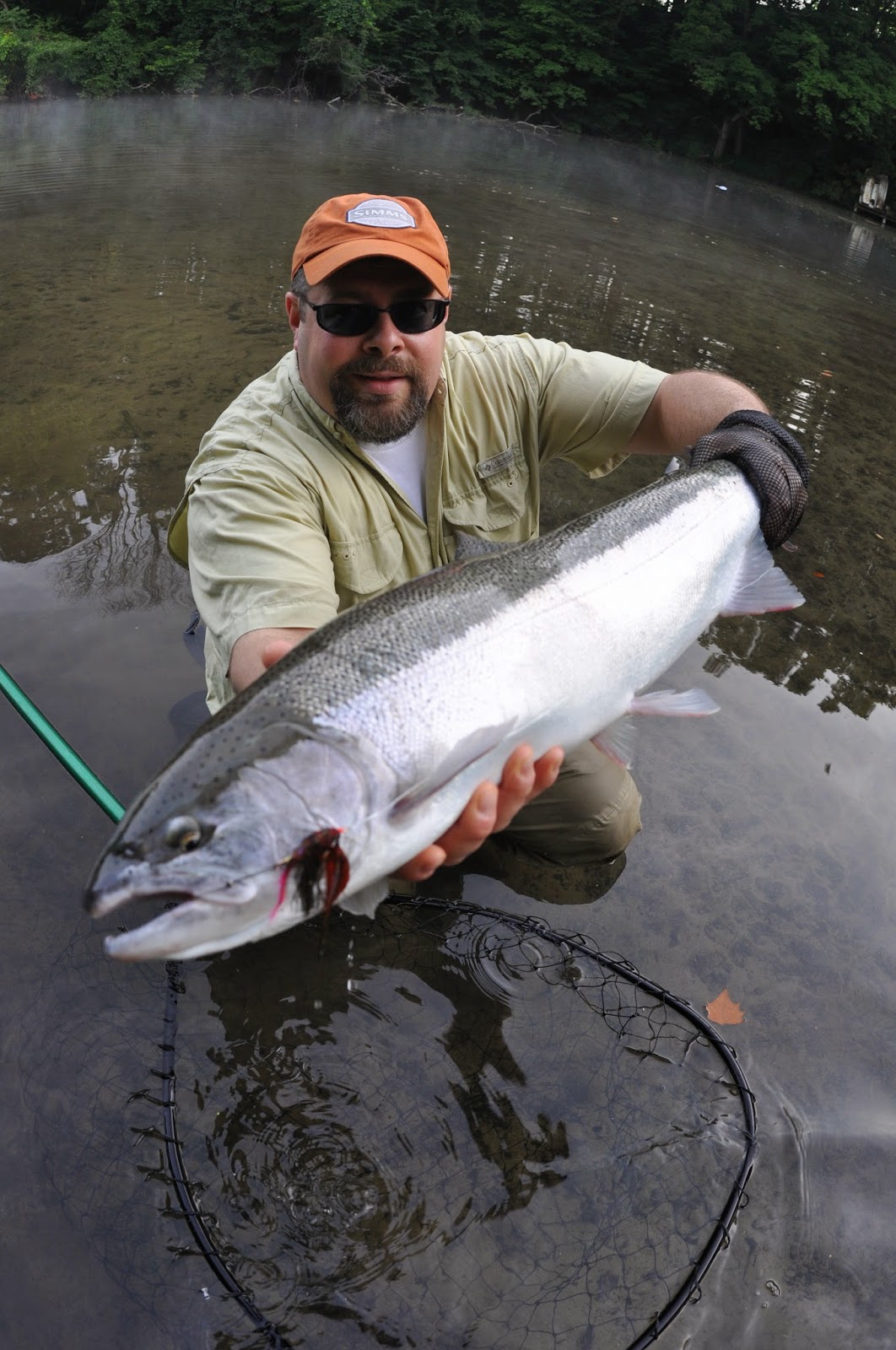 AN INCREDIBLE SUMMER!!!!...SKAMANIA STEELHEAD AND GREAT TROUT ...