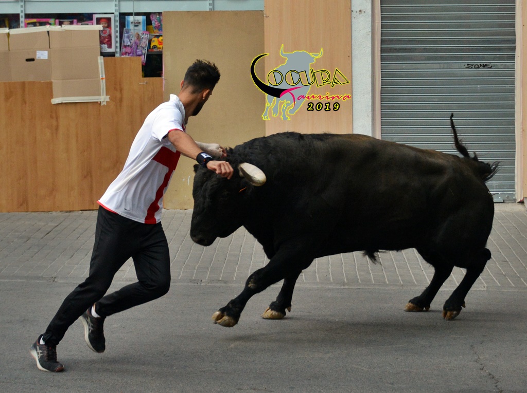 LOCURA TAURINA: ARGANDA DEL REY: TORO REZAGADO POR LA C/ REAL