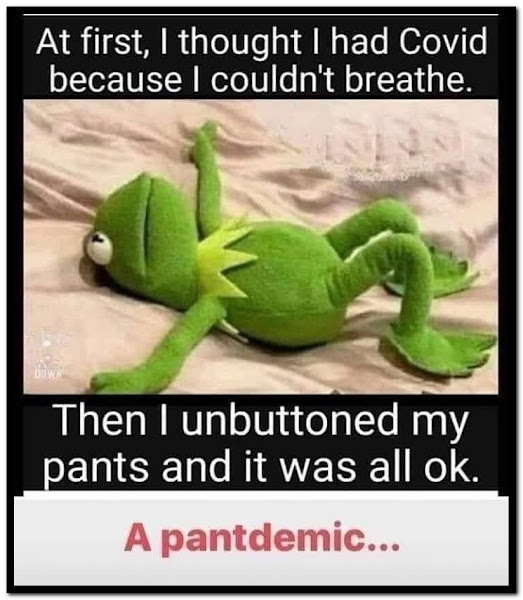 Chuck's Fun Page 2: 2020 humor(?) - 25 images