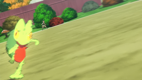 Poké-Arquivo: 252 - Treecko ~ PMD || Acervo de Imagens de Digimon e ...