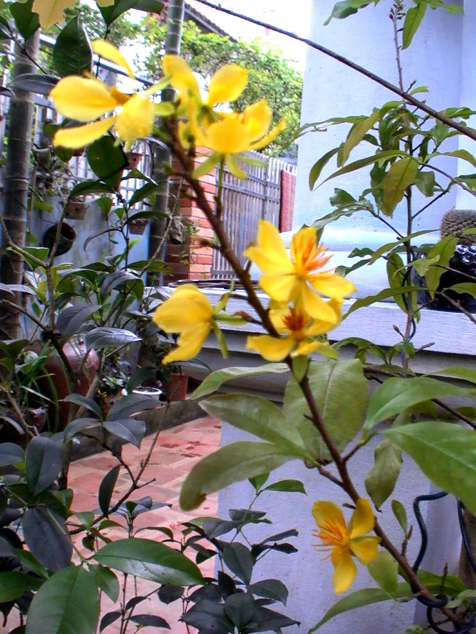 Giao lưu và học hỏi