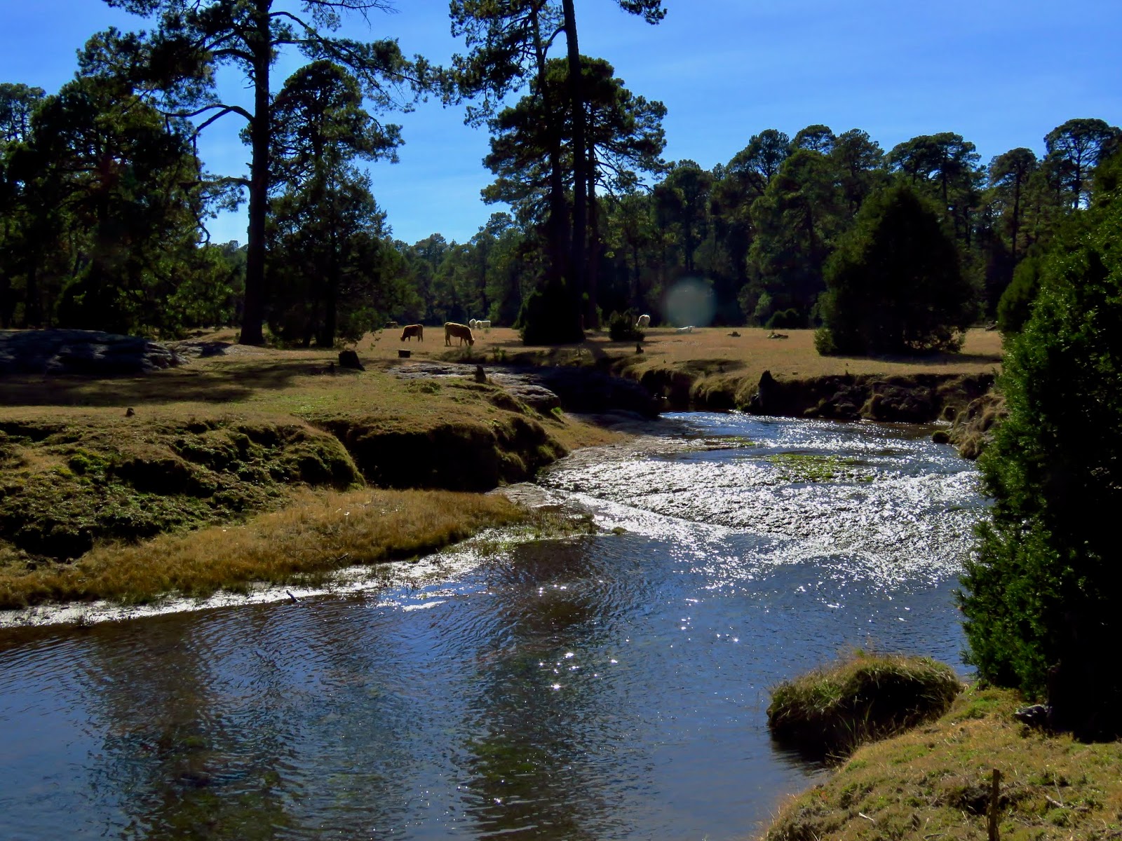 Wandering w/ Serenity: Parque Natural Mexiquillo