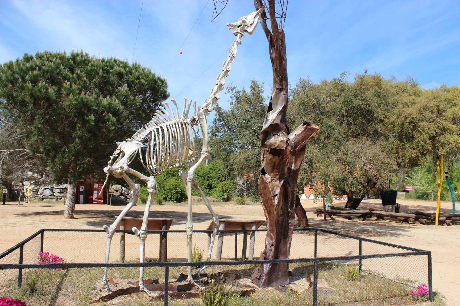 abc Travel: BADOCA SAFARI PARK