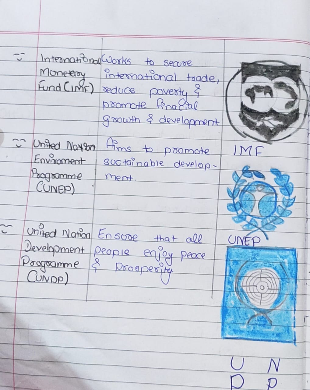 Evs United Nations (Notebook and workbook exercise)