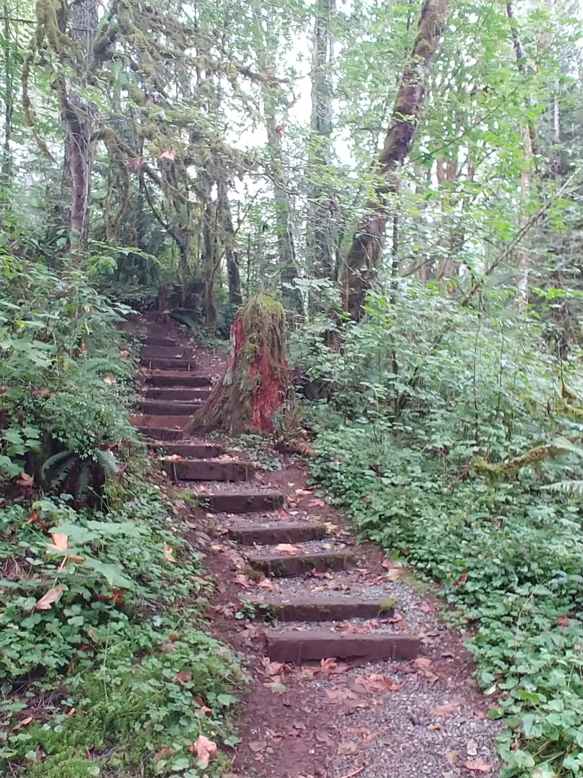 Peter And Evie - Travel blog: Sept 13 - Staircase, Olympic National ...