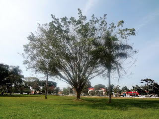 Parque Praia São Paulo - Praia do Sol em São Paulo ~ Áreas Verdes das ...