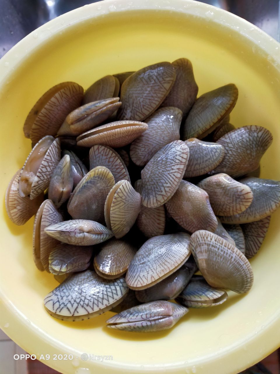 Kepah Masak Lemak Cili Api