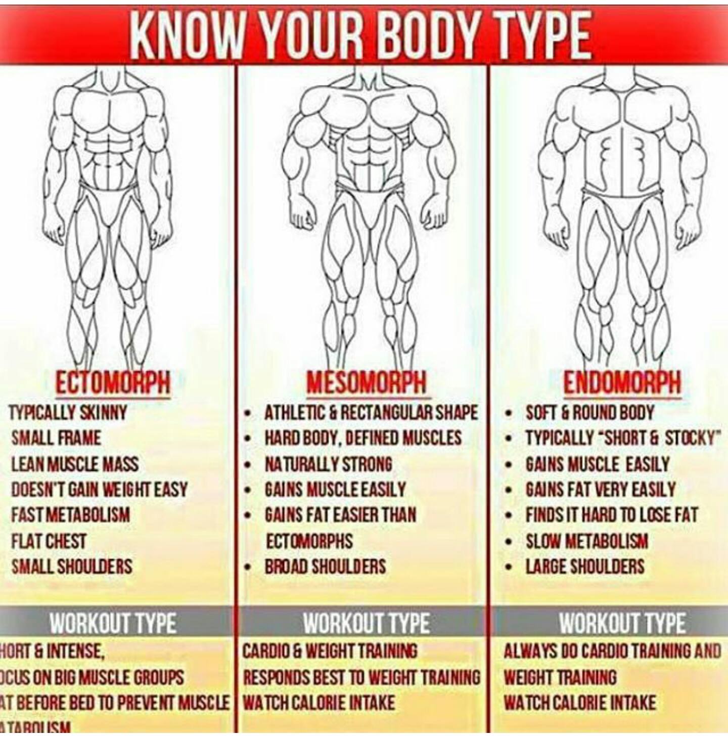 Calculate Your Macros in Just 4 Steps
