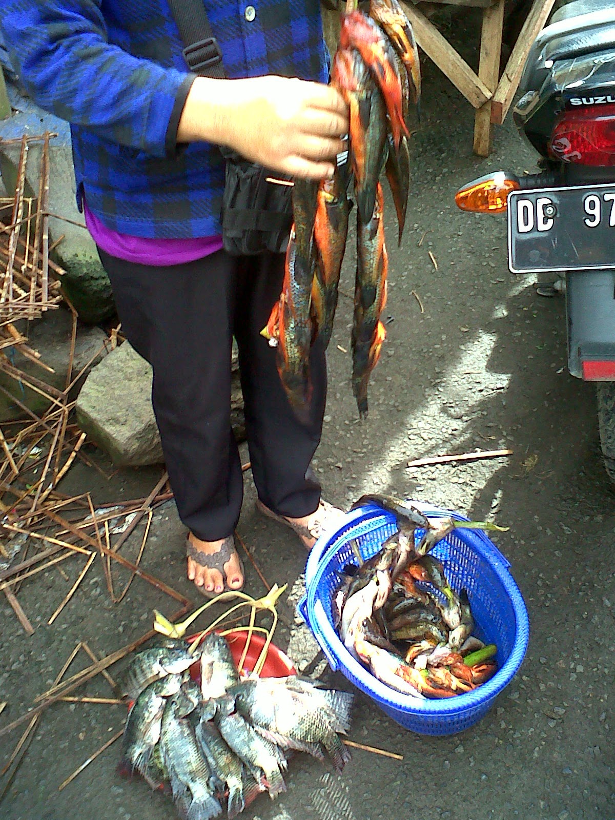 Pasar tradisional Tomohon, EKSTRIM!