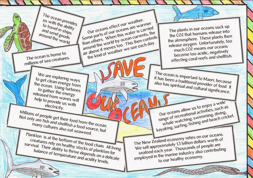 Room 8 - Halcombe School: Why Are Our Oceans Important?