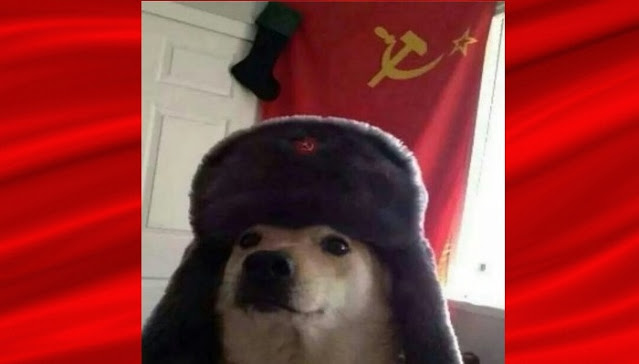 El origen del Perrito Comunista con gorro ruso