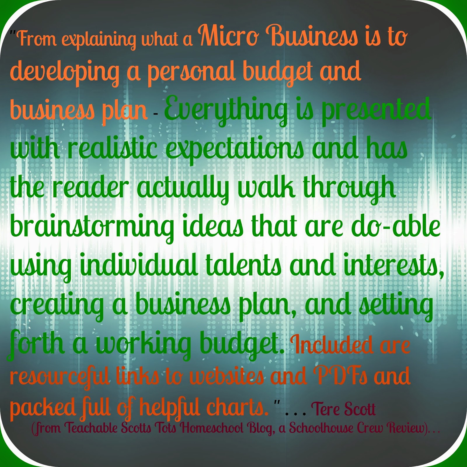 Puddle Jumping: TOS Review: 'Micro Business for Teens'