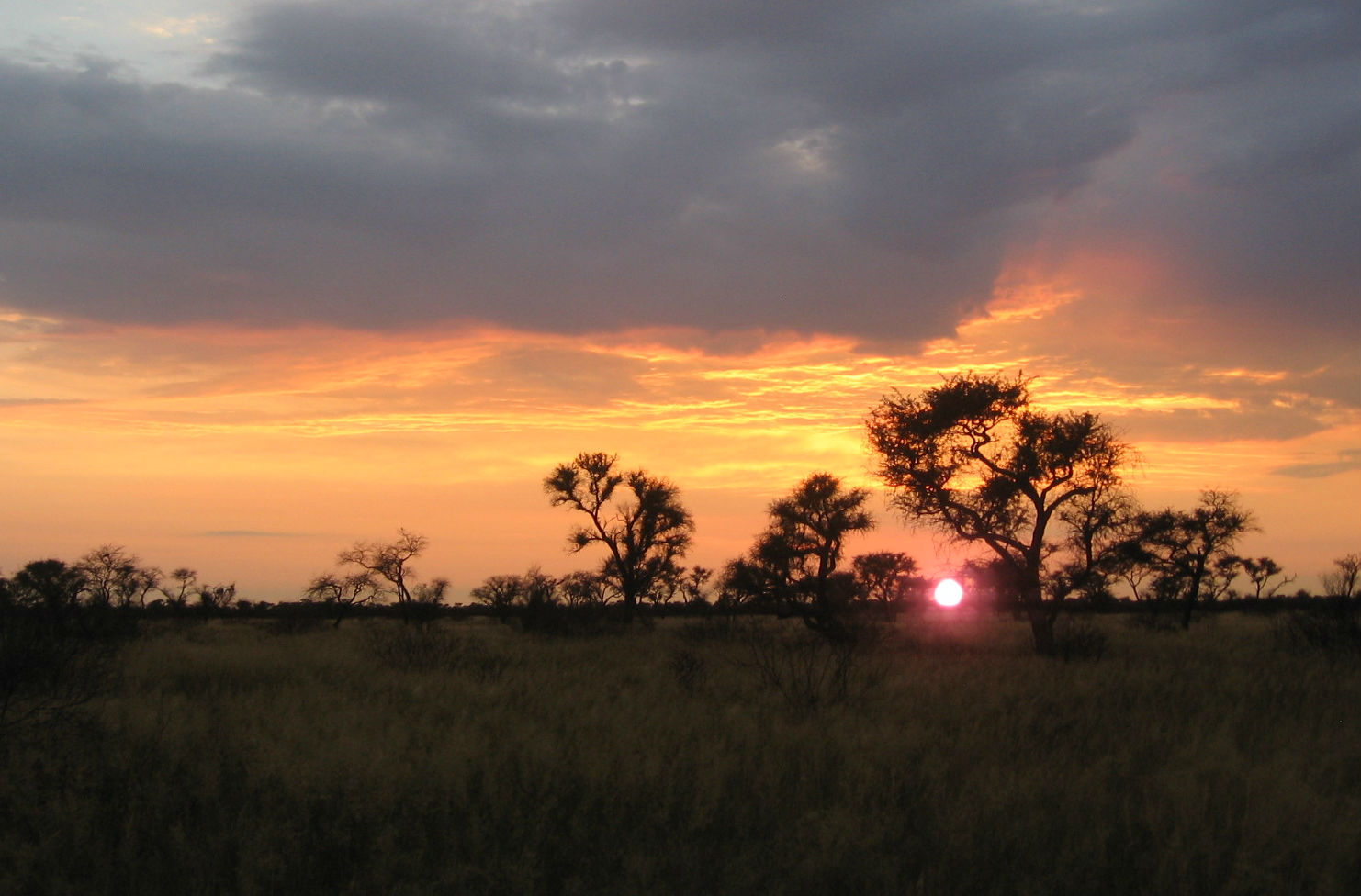 Rue Sansregret: Camping in Khutsi