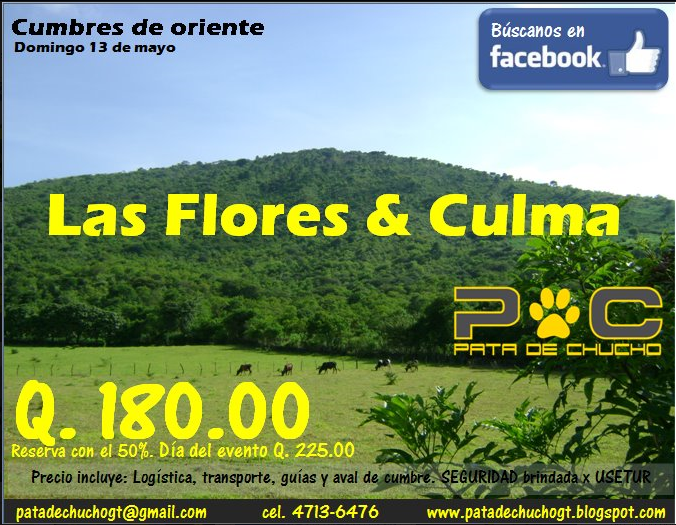 Pata de Chucho: Volcàn de Las Flores & Culma