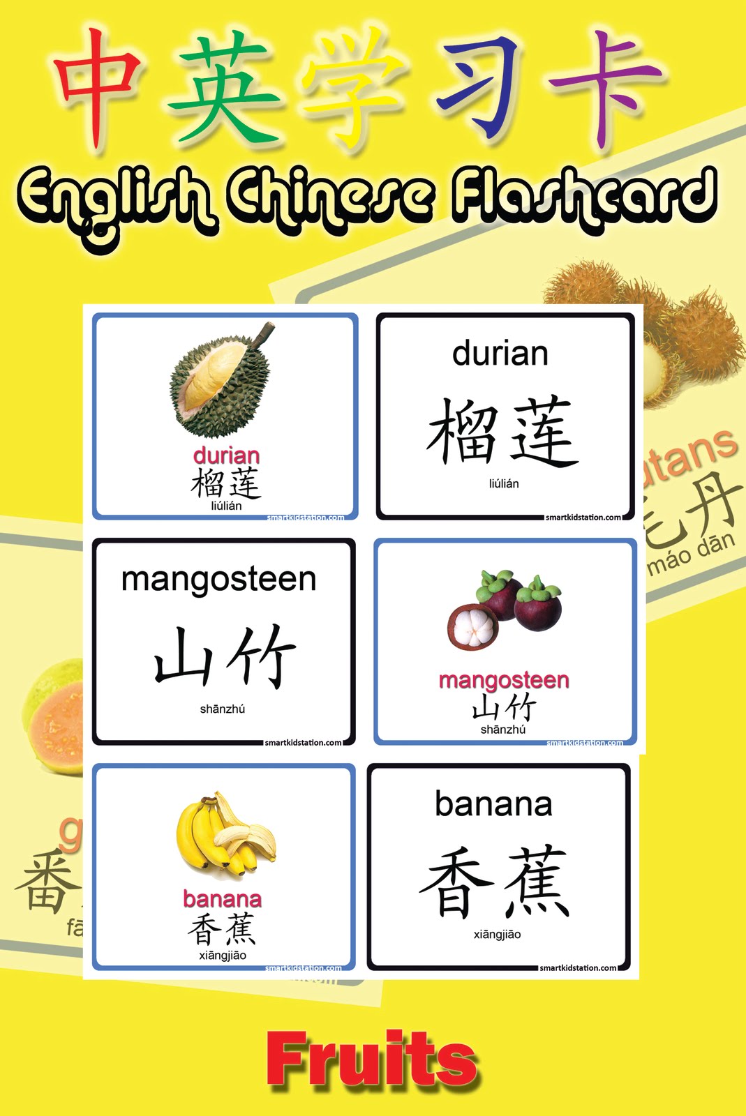 English Chinese FlashCard