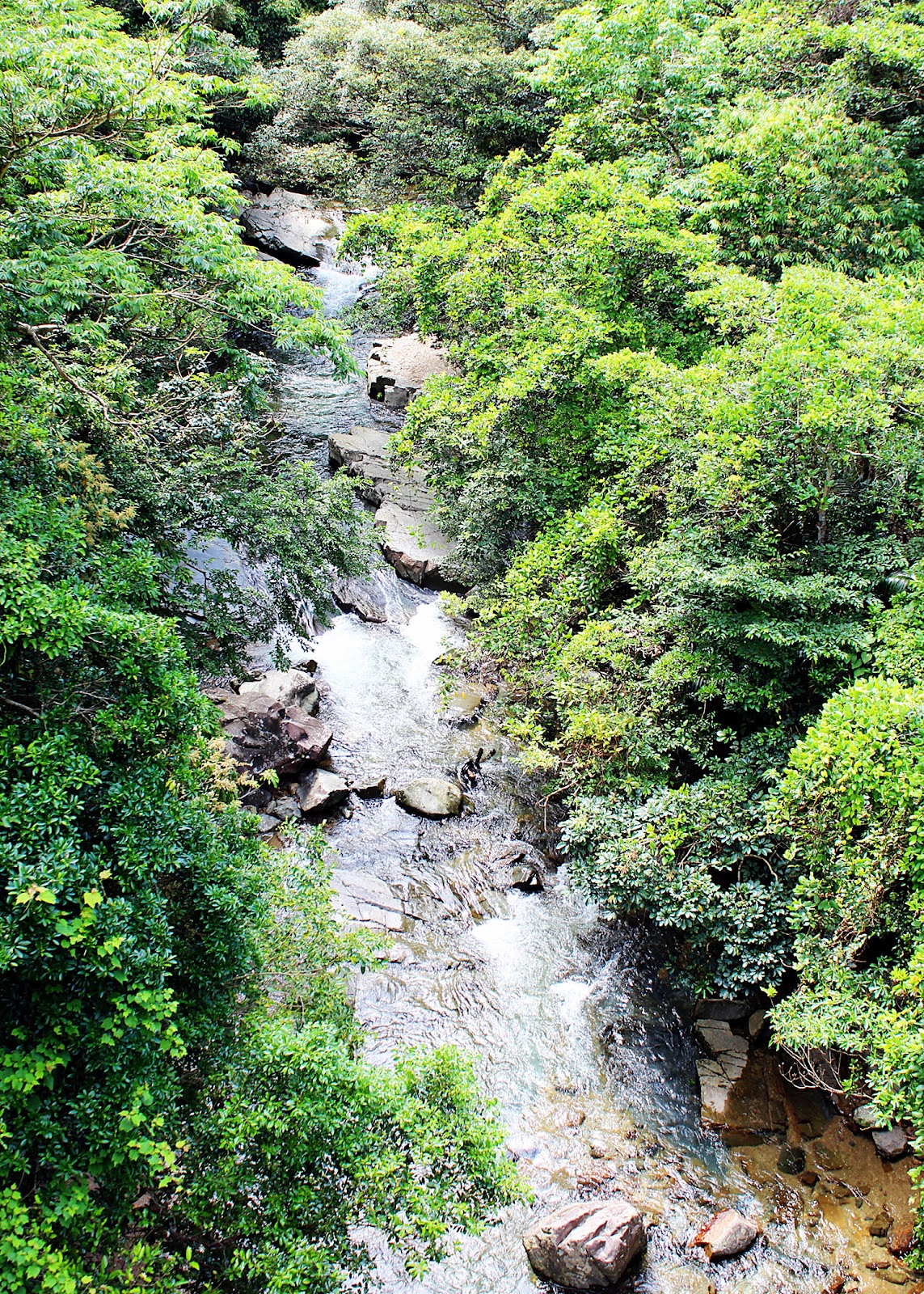 Enjoying Life With 4 Kids: Hiking to Hiji Falls