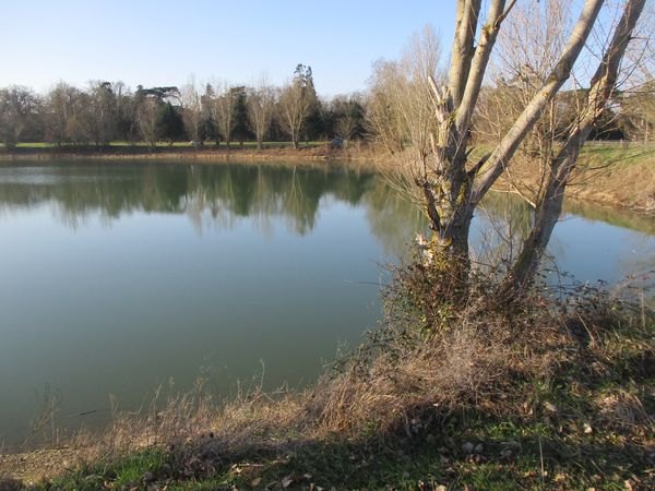Sud-ouest Toulousain Randonnées: LONGAGES : Lac de la Linde