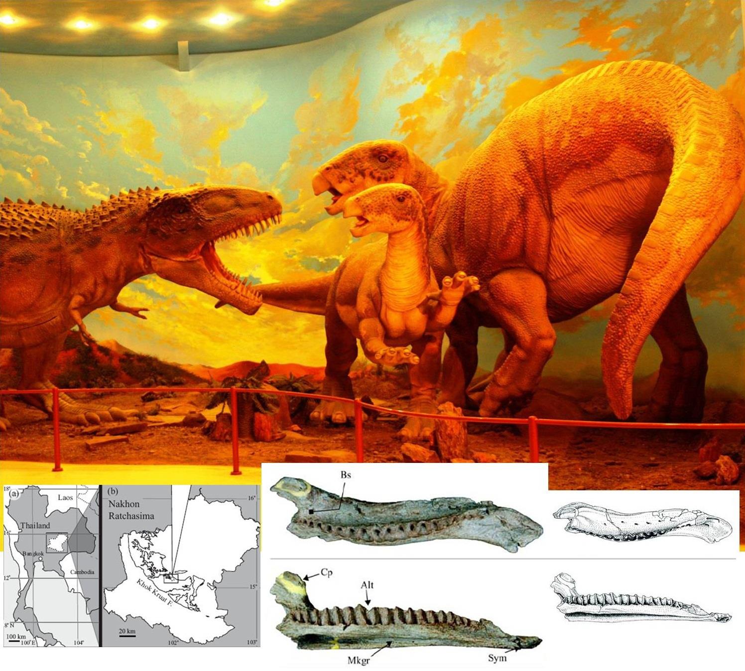 Species New to Science: [Paleontology • 2011] ราชสีมาซอรัส สุรนารีเอ ...