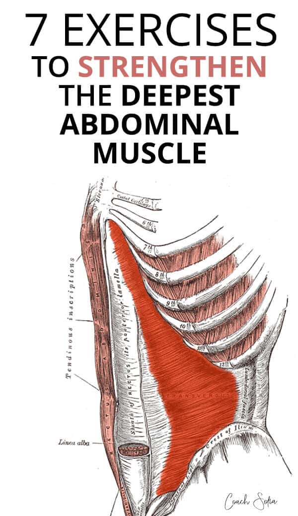 7 Best Transverse Abdominis Activation Exercises