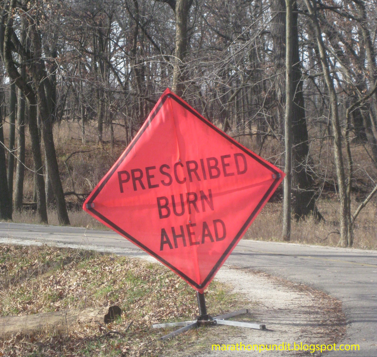 Marathon Pundit: (Photos) A prescribed burn in progress