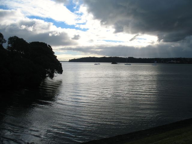 Seasonal inspiration: Welcoming Matariki