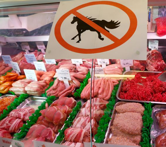 At Eti hakkında gerçekler,Zararlımıdır? Zararı varmıdır? - Gıda ...