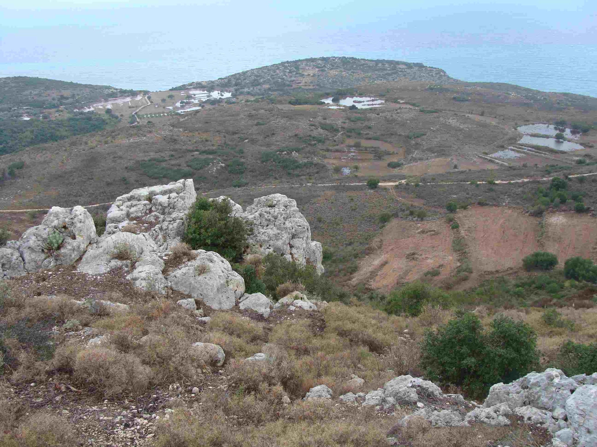 ΔΑΜΟΥΛΙΑΝΑΤΑ: ΔΑΜΟΥΛΙΑΝΑΤΑ ΚΥΚΛΩΝΑΣ ΙΑΝΟΣ