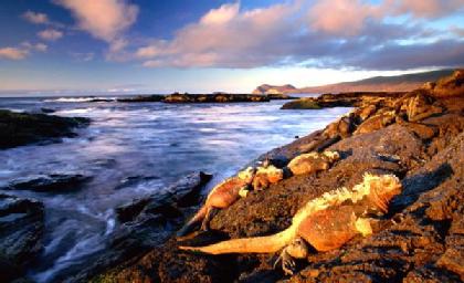Galapagos Travel Blog: Baltra Islands